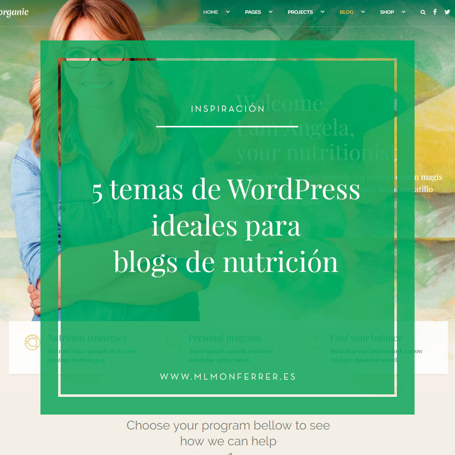 5 temas de WordPress ideales para blogs de nutrición | MlMonferrer